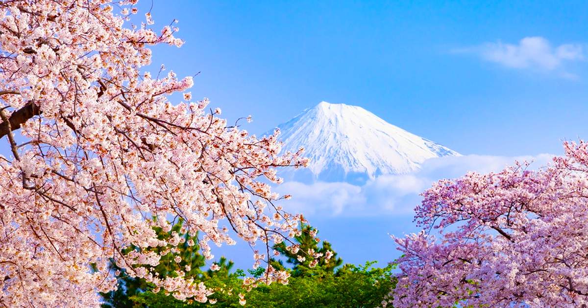[Mt. Fuji Swan Boat or Hot Spring Tour] Mt. Fuji 5th Station & Oshino ...